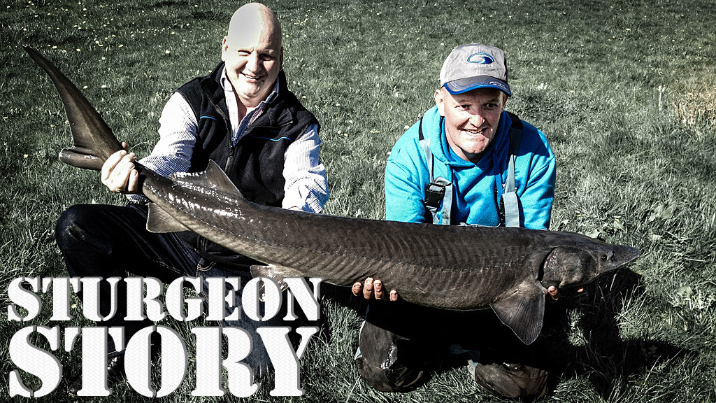 Pêche au coup d'un poisson record - Esturgeon Géant UK - Garbolino