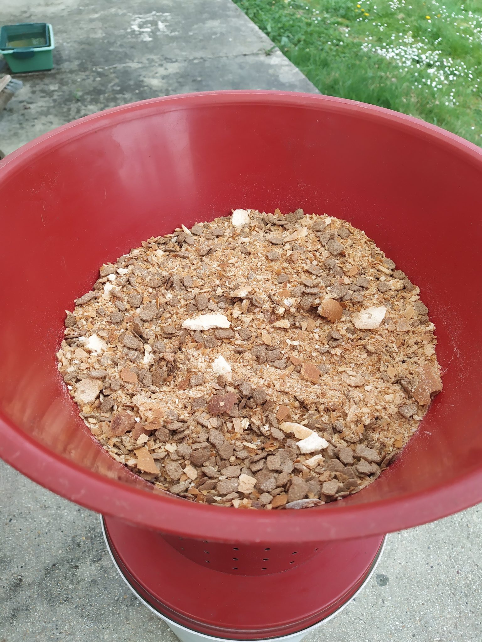 Amorce à gardon maison - Recette simple et efficace