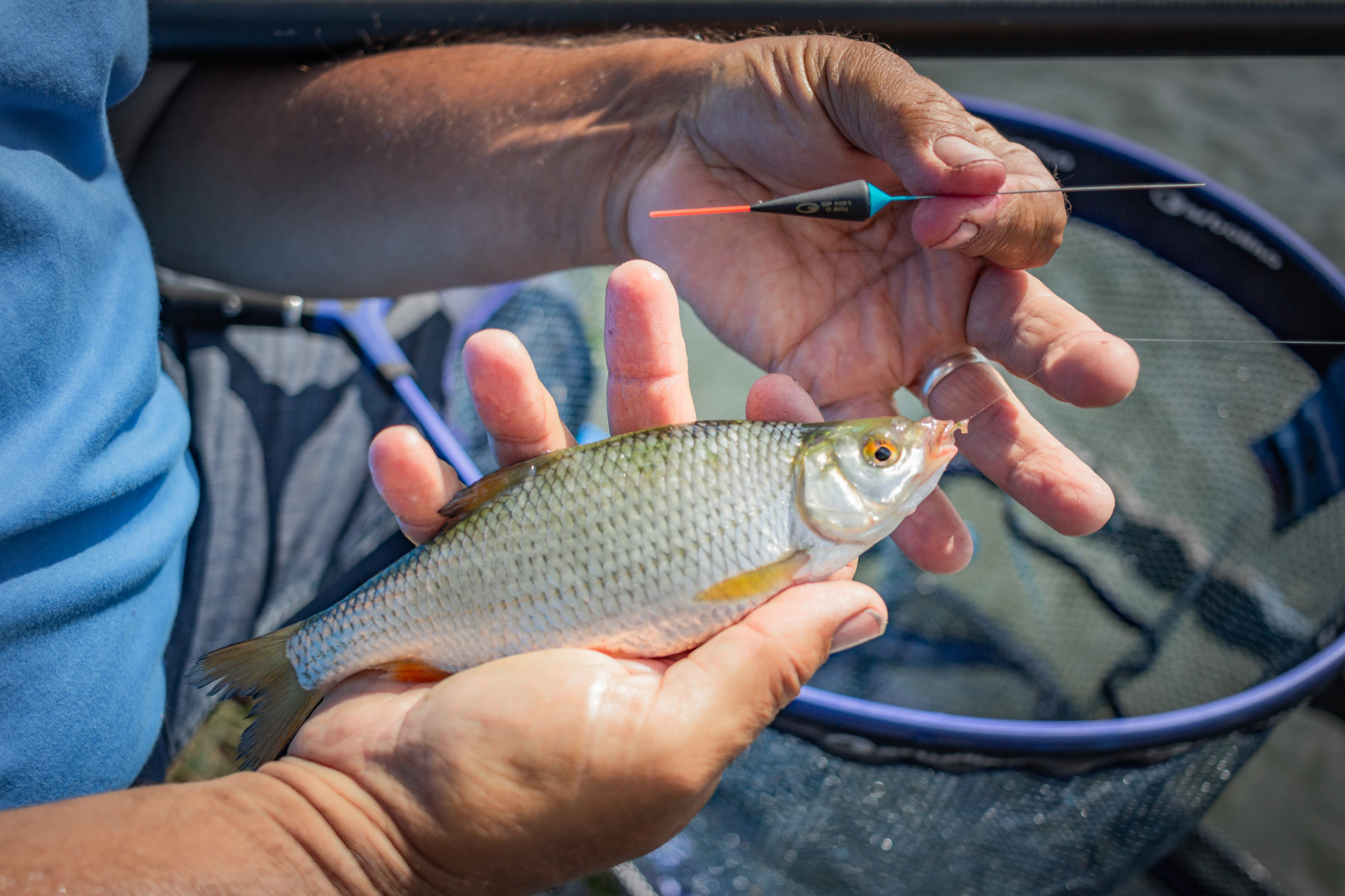 Montage d'un hameçon à palette pour la pêche au coup - Garbolino