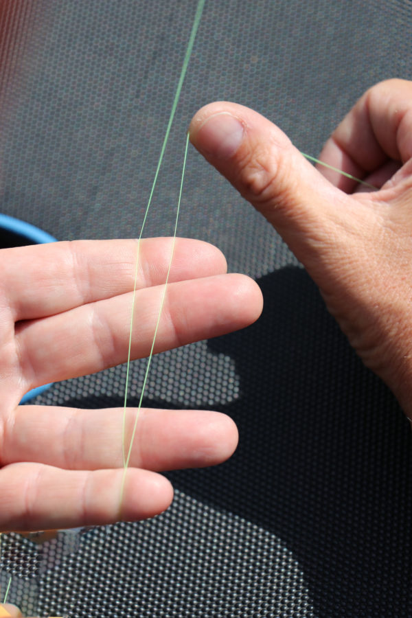 Montage nœud lasso pellet, idéale pour la pêche au pellet - Garbolino