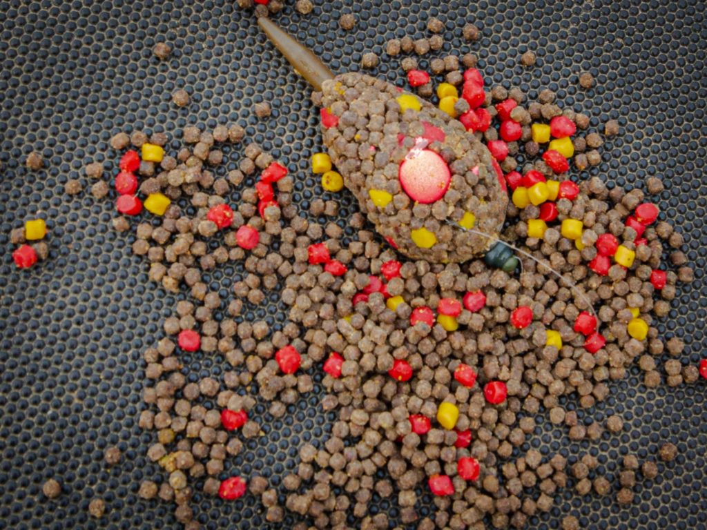 Pêche de la carpe au method feeder au printemps ! Garbolino